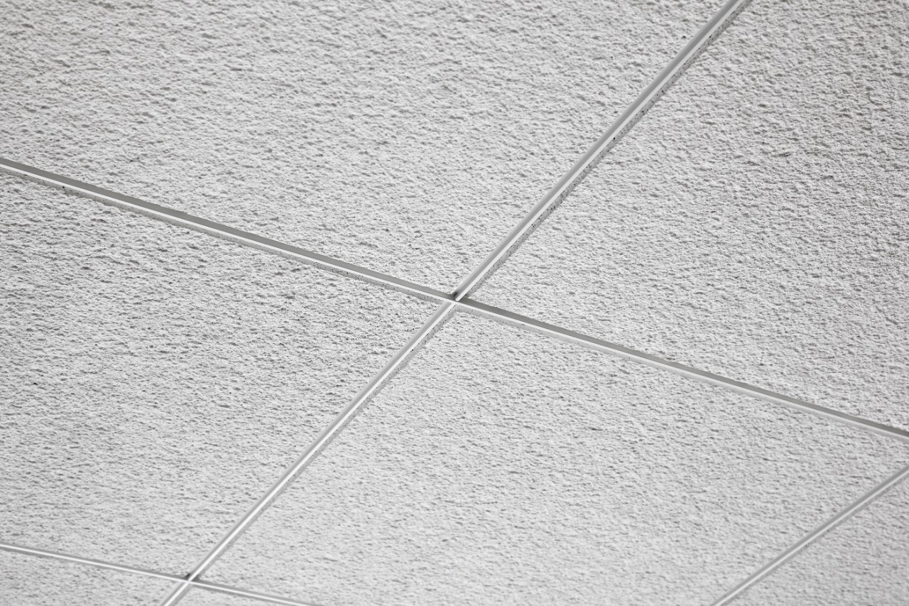 USG Eclipse™ Acoustical Ceiling Panels | Negwer Materials