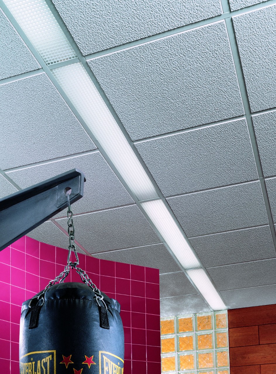 USG Rock Face® Acoustical Panels | USG Building Systems | Negwer Materials